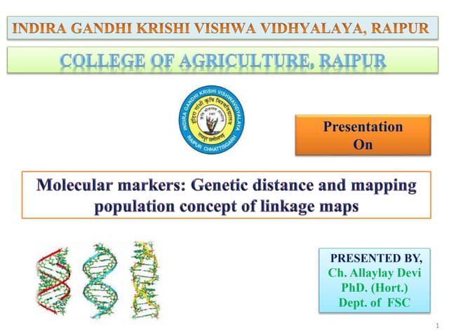 Mapping population ppt | PPTX