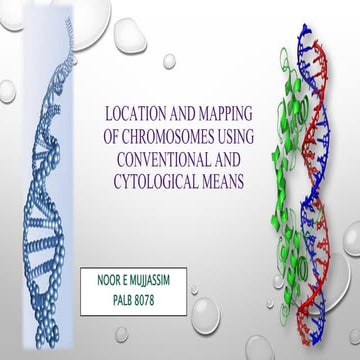 Location and mapping of chromosomes using conventional and cytological ...