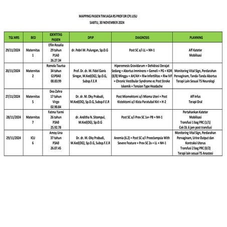 Mapping Tim Jaga RS USU 30 November 2024_.pdf
