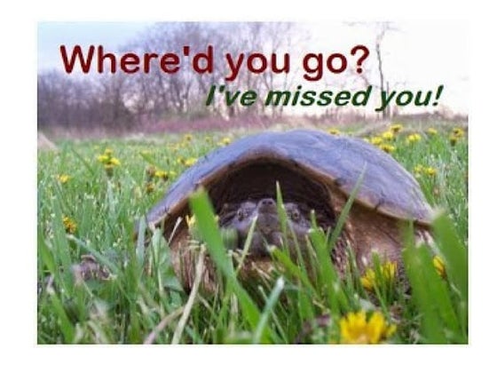 Nat reviewer in science & health 6 | ODT