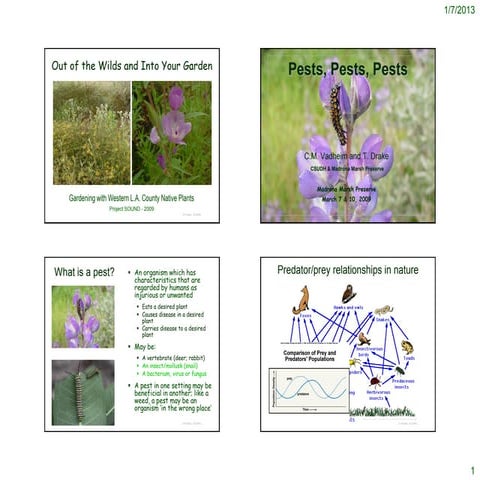 Garden Pests - notes | PDF