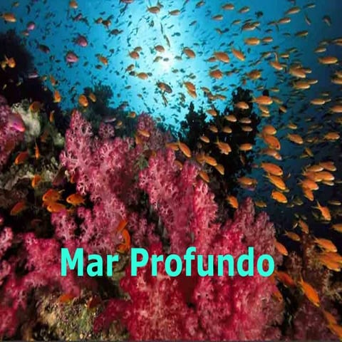 Mar Profundo | PPS
