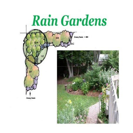 MA: Rain Garden AAI Presentation | PDF
