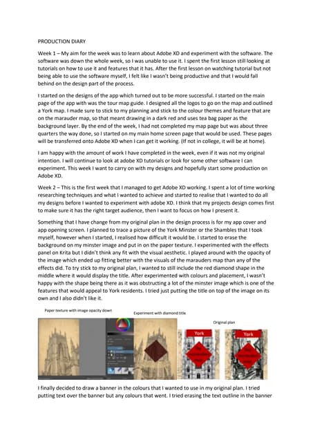 REFLECTIVE DIARY.docx | Computer Software and Applications | Computing