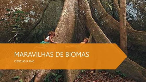 BIOMAS BRASILEIROS e tabela.docx
