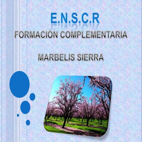 Marbellisisa presentations