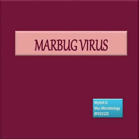 Marbug Virus disease and treatment slideshare | PPTX