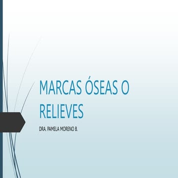 Tipos de accidentes óseos anatomía 1, con ejemplos e imágenes, tablas | PDF