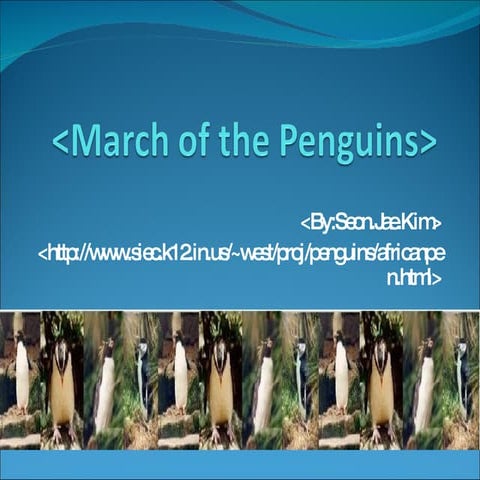 March Of The Penguins Seon | PPT