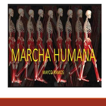 Abducción y aduccion de cadera.ppt completo | PPT