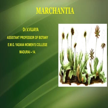 Marchantia ppt | PPTX