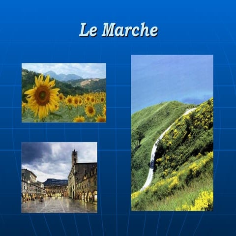 Marche | PPT