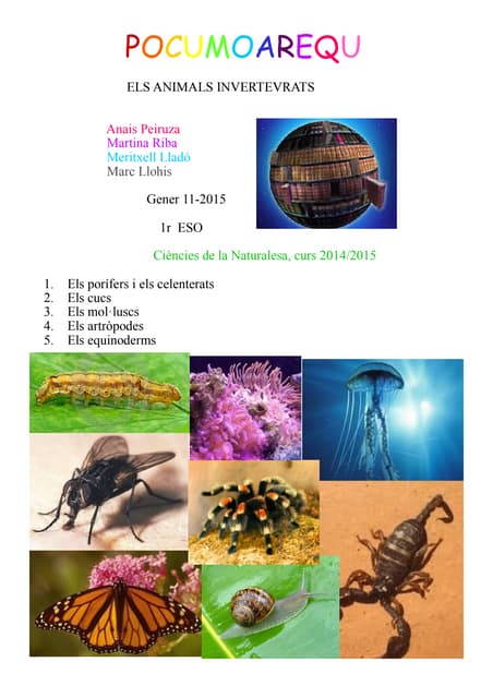 Waves Certification Certificate | PDF