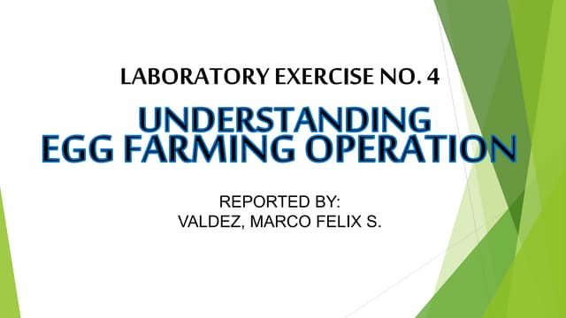 Philippine Native Chicken: The BANABA NATIVE CHICKEN of CALABARZON | DOCX