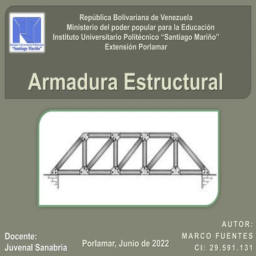 Armadura Estructural | PPT