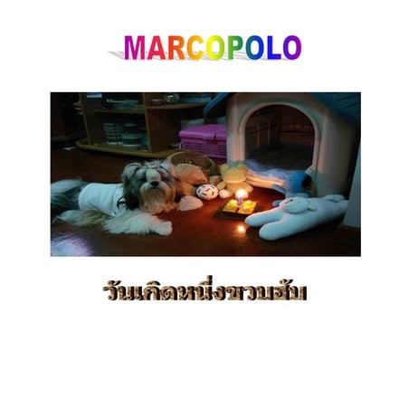Marcopolo