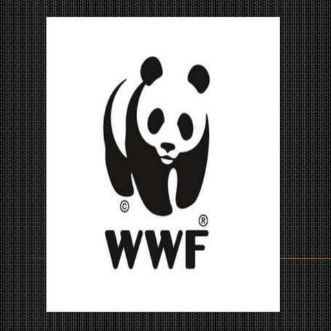 Marc wwf | PPT