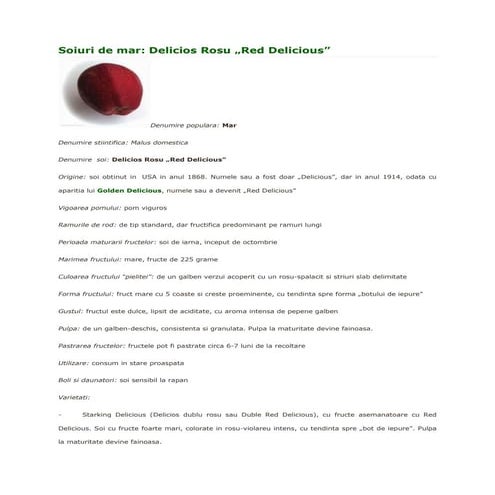 Istoria rromilor | PPT