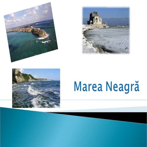 Marea neagră | PPS