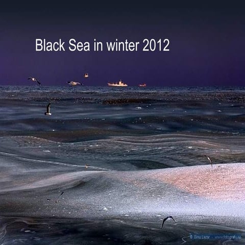 Marea neagra inghetata ian.2012