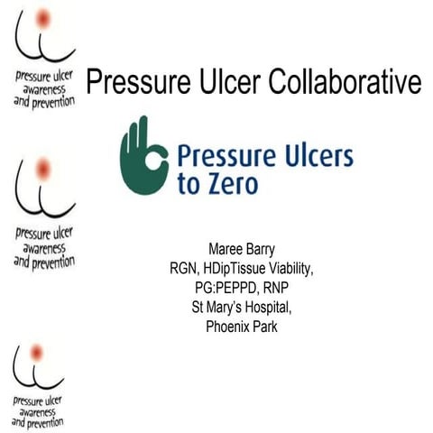 Pressure Ulcer Collaborative - Nursing Showcase Presentation | PPT