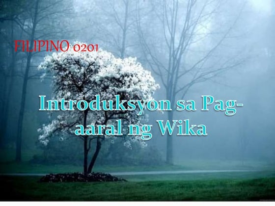 Surigaonon bisaya-tagalog-english translation | PDF