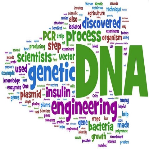 Advancements in Genetic Engineering | PPTX
