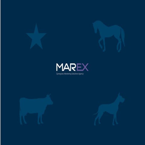 Marex presentation | PDF