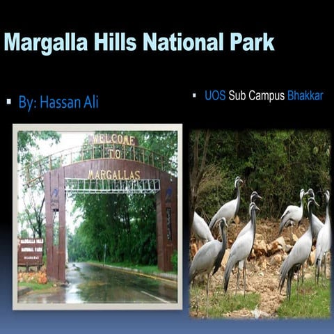 Margalla hils national park | PPTX