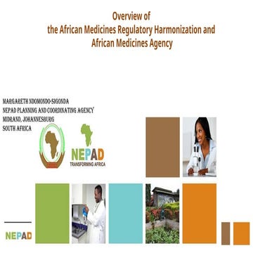 Margareth Ndomondo -NEPAD_Presentation(1).pptx