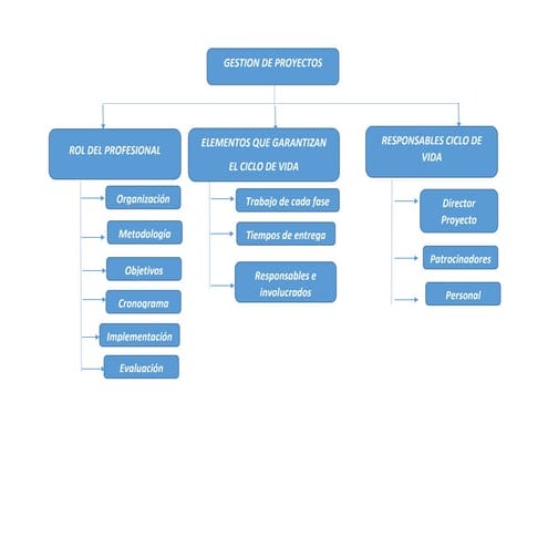 Mapa Conceptual Gestión de Proyectos | PDF | Business | Business and Finance