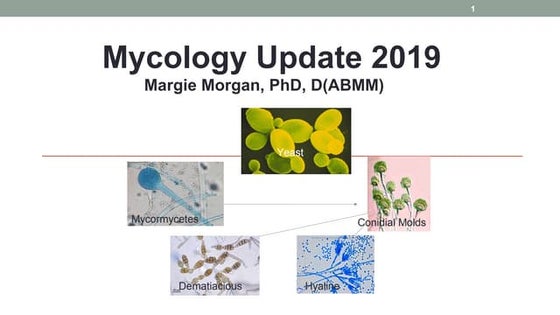 Mycology ppt ii laboratoy techniques for isolation and identification of fungi | PDF
