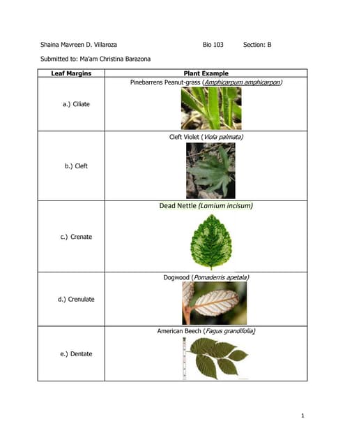 Nematodes trematodes and cestodes handouts | PDF