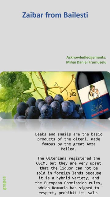 Presentation 5 | PDF