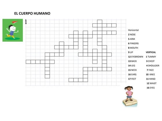 Crucigrama cuerpo humano | PPT