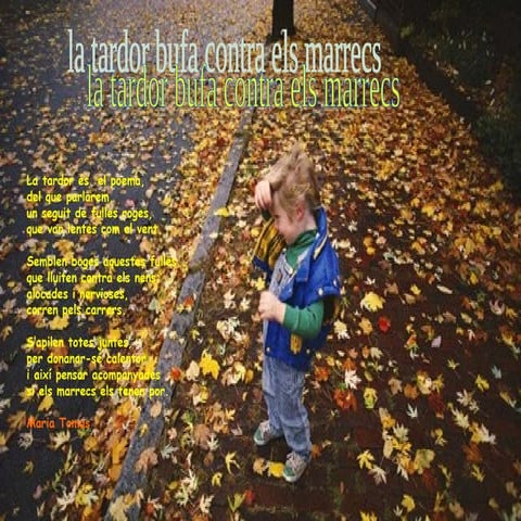 Poemes de Maria Tomàs | PPT