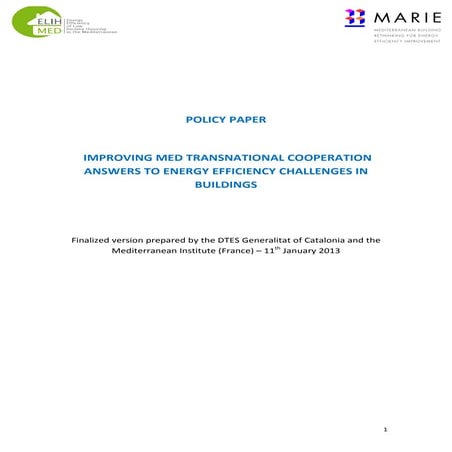Marie project policy paper | PDF