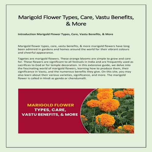Marigold Flower Types.pdf