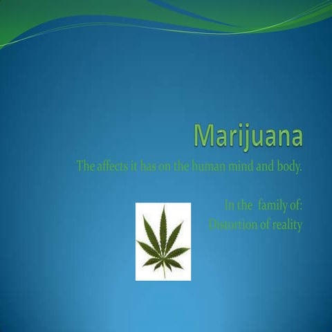 MARIJUANA.pptx