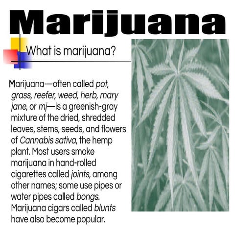 Effects and Knowledge of Marijuana power point | PDF
