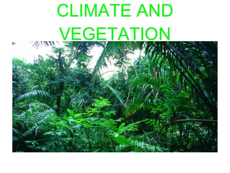 Climate and vegetation