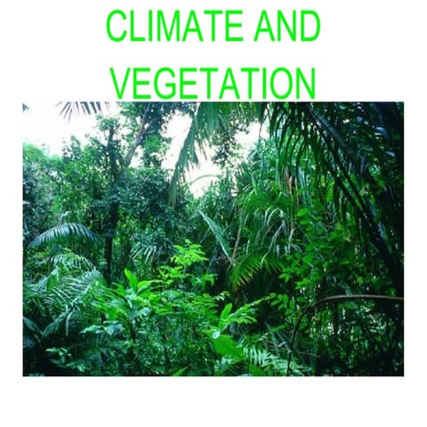 Climate and vegetation | ODP
