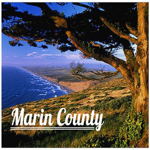 Marin County Landscape | PDF