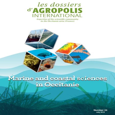 Marine and-coastal-sciences-thematic-file-agropolis-international | PDF