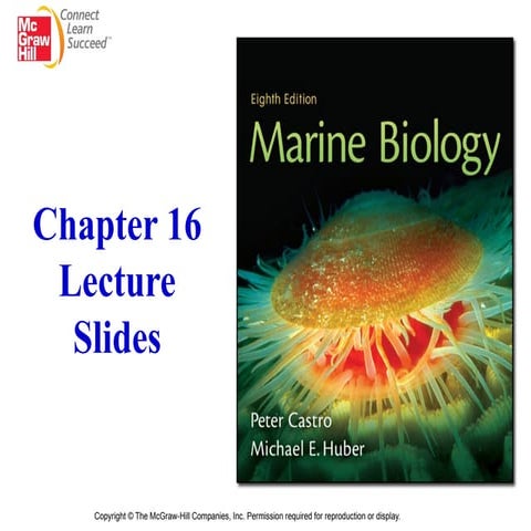 Marine geology.pptx