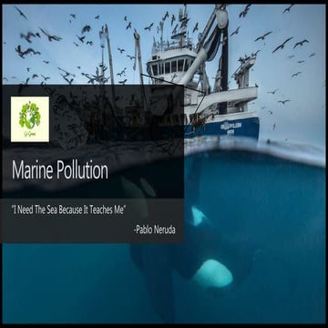 Marine and thermal pollution | PPTX