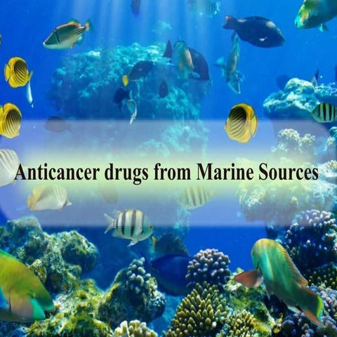marine anticancer drugs'.pptx