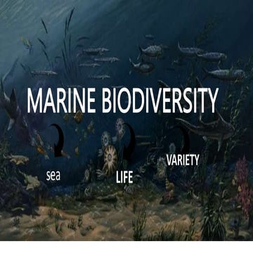 MARINE BIODIVERSITY presentation xx.pptx