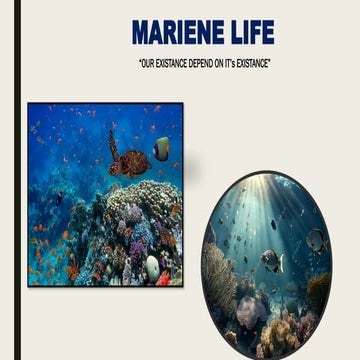 the career Marine biologist presentation | PPTX
