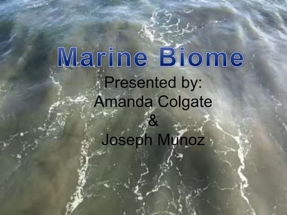 Marine biome | PPTX
